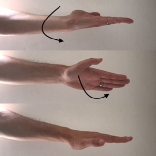 Giving pain the elbow – durham house and studio